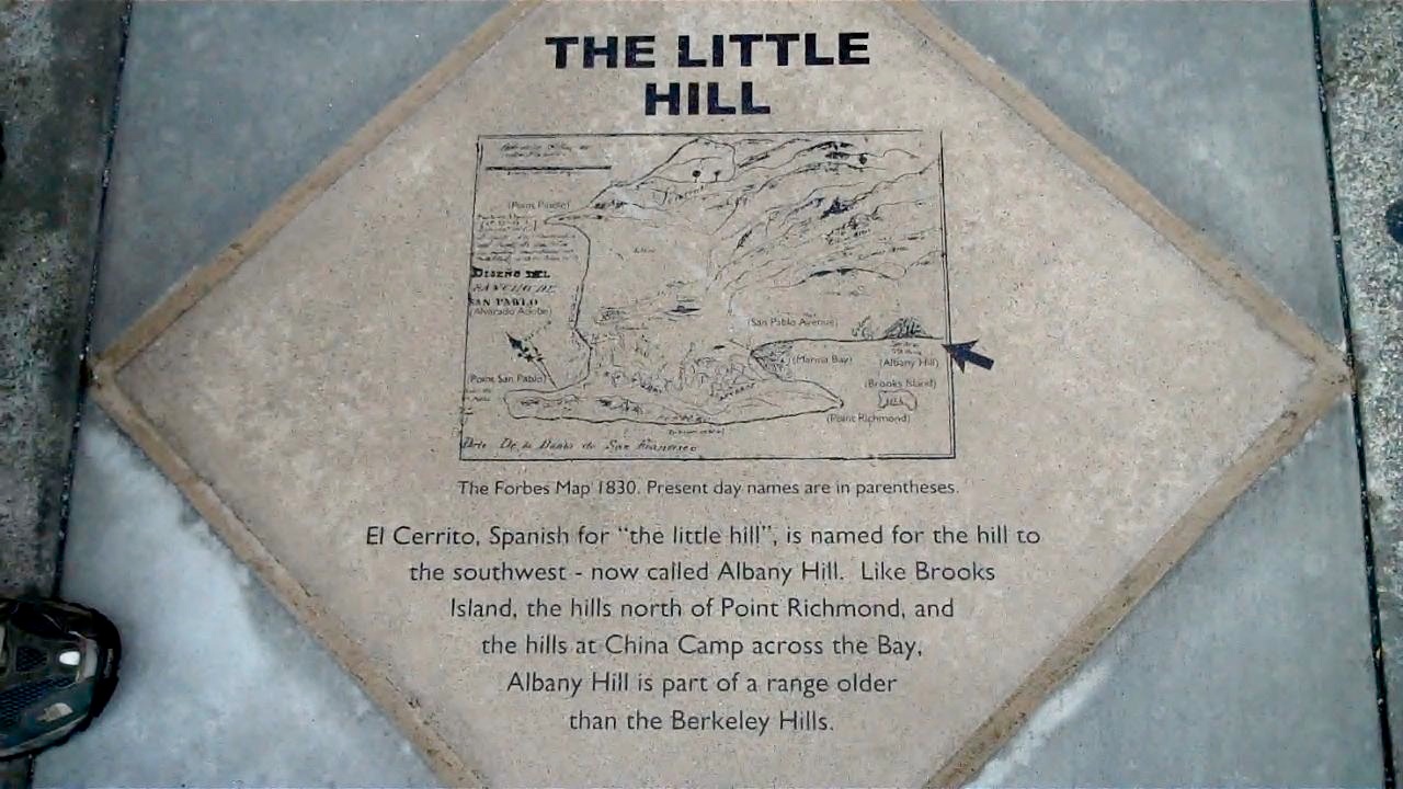Tending the Ancient Shoreline Hill (TASH) – Albany Hill, nature, native ...