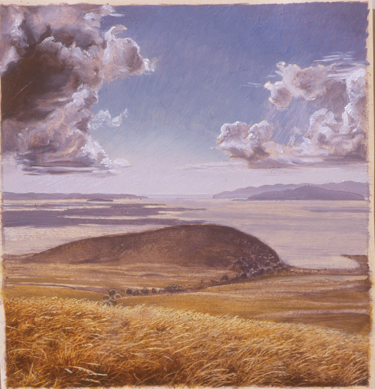 Albany Hill Hundreds of Years Ago – Tending the Ancient Shoreline Hill ...